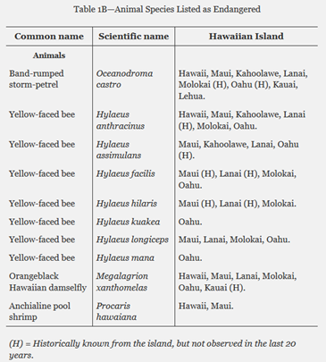 Insects – Hawaiʻi Biodiversity