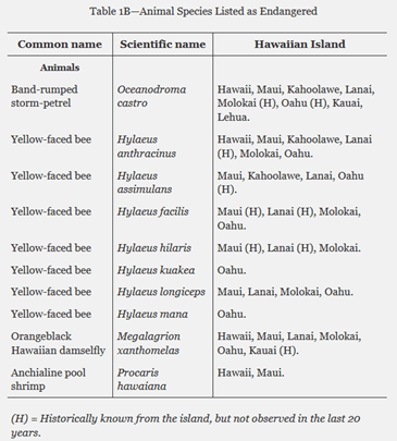 Insects – Hawaiʻi Biodiversity